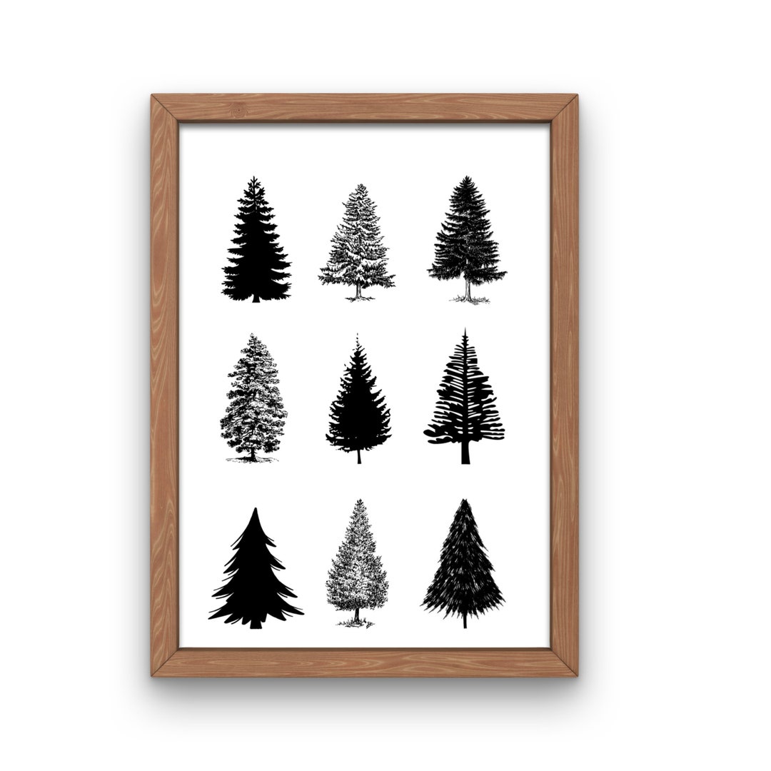 Evergreen Tree Print, Printable Black and White Tree Print, Christmas ...