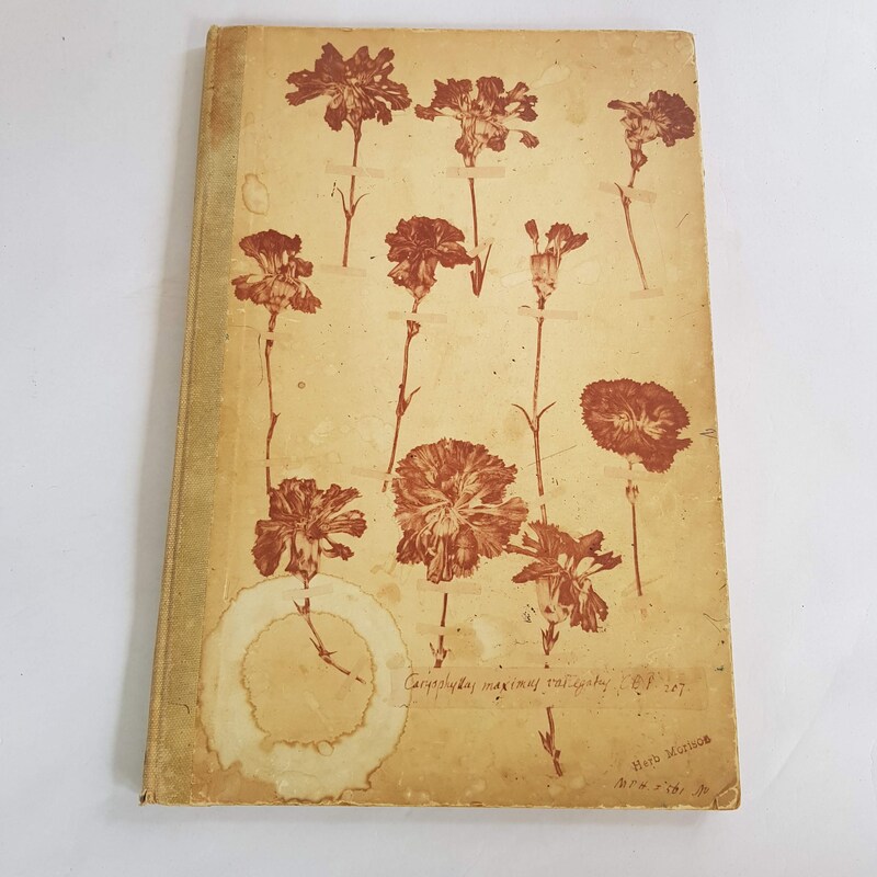 Vintage Flower Book - Etsy