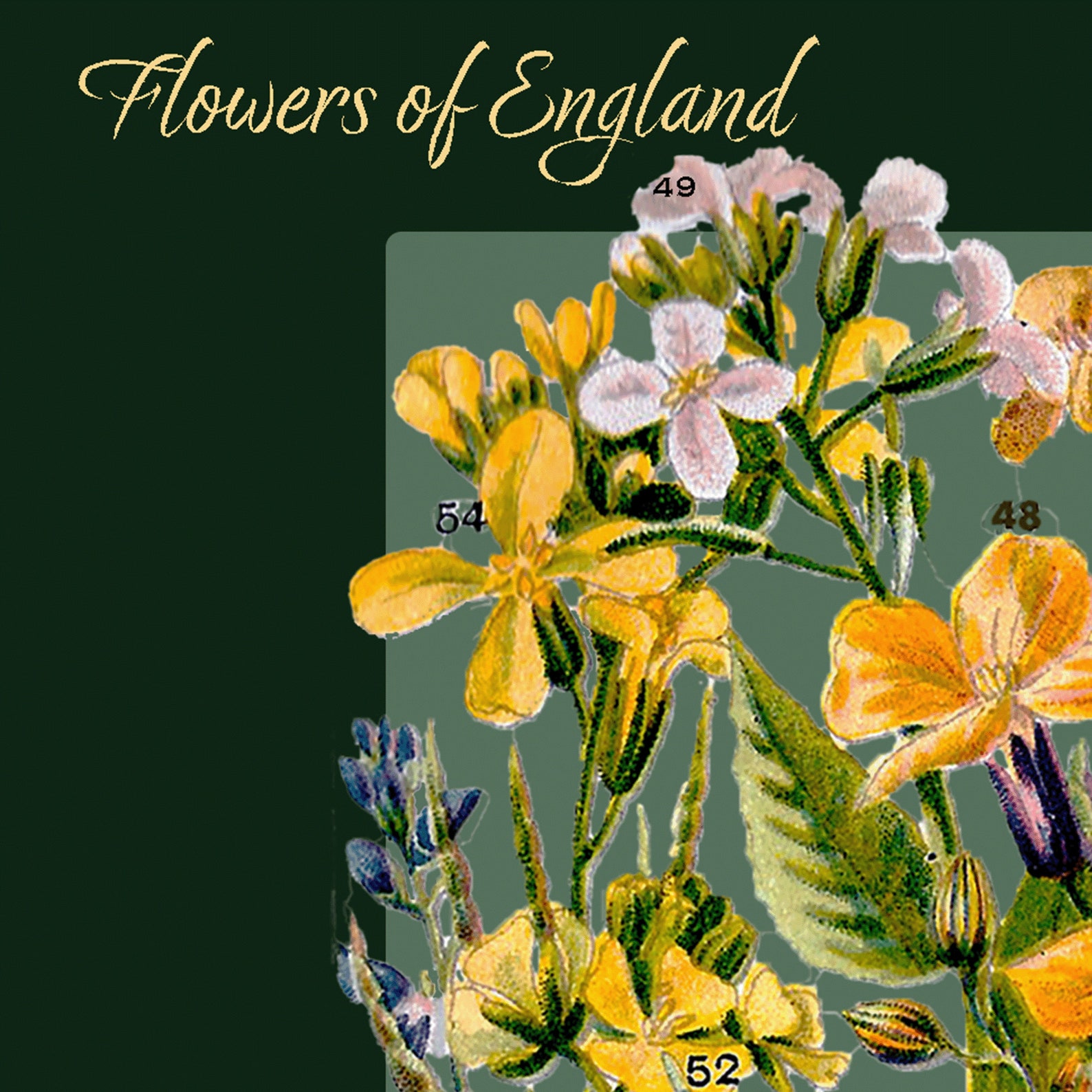 Printable Victorian Floral Wall Art. Wallflower and Other English ...