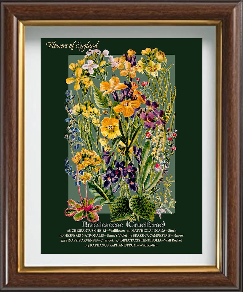 Printable Victorian Floral Wall Art. Wallflower and Other - Etsy