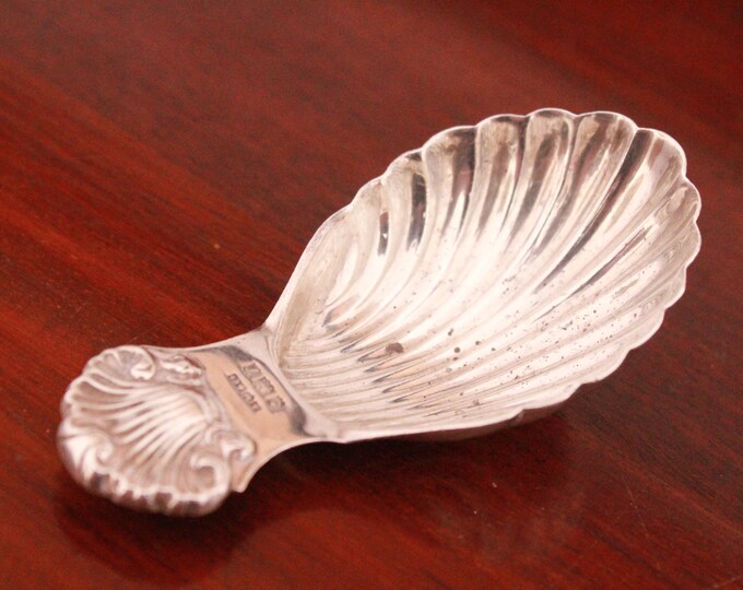 Silver Tea Caddy Spoon, Scalloped Design and Hallmarked. - Etsy