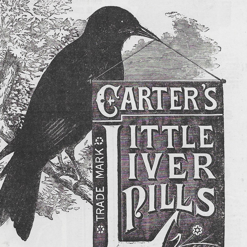 Vintage Advert 1890 Victorian Crow - Etsy