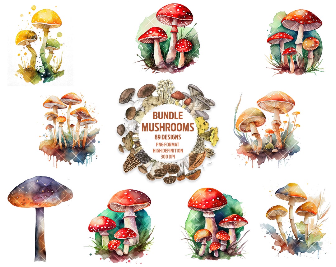 Watercolor Mushrooms Clipart | 89 Colorful Mushroom PNG Designs for ...