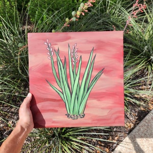 Red Yucca Painting 14 X 14 Inches - Acrylic on Canvas - Texas Plant ...