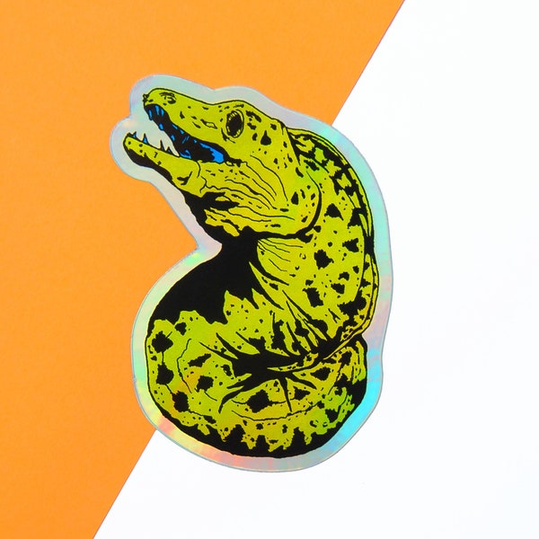 Moray Eel - Etsy
