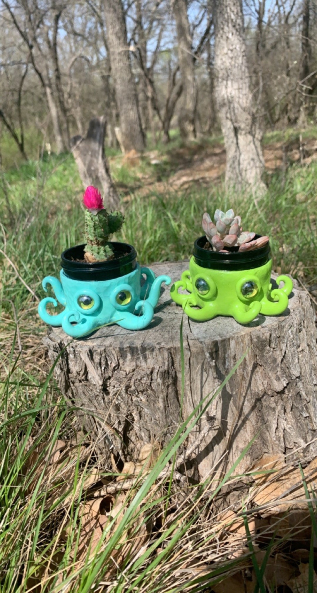 Cute Octopus Succulent Pot - Etsy