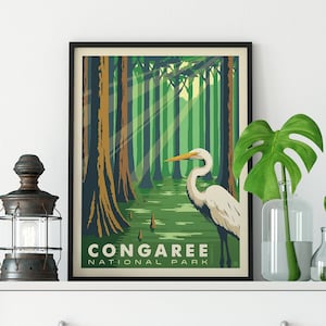 Congaree National Park Travel Poster by Anderson Design Group ...
