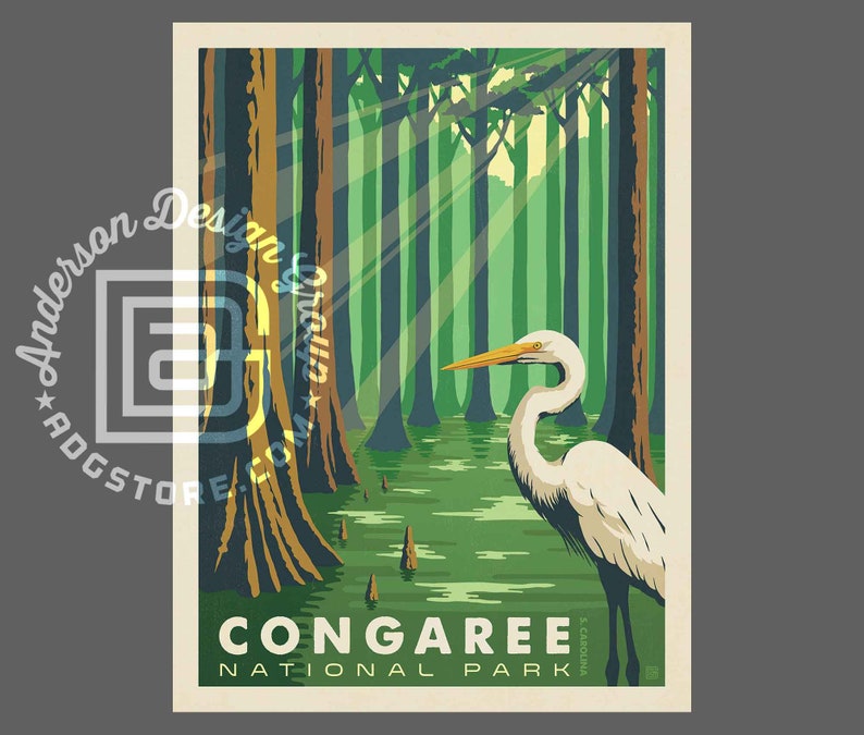 Congaree National Park Travel Poster by Anderson Design Group | Etsy