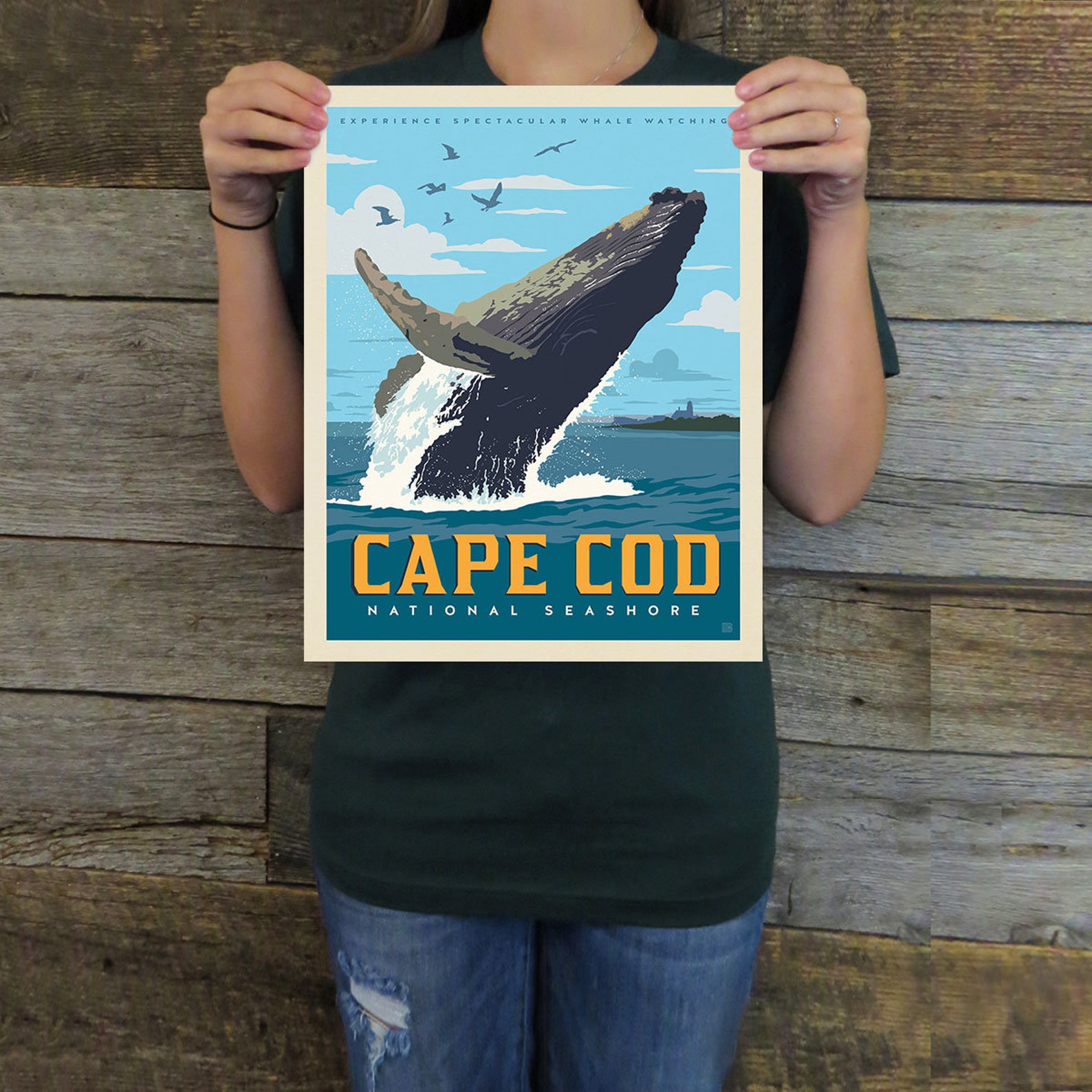 Cape Cod National Seashore Travel Poster by Anderson Design Group ...