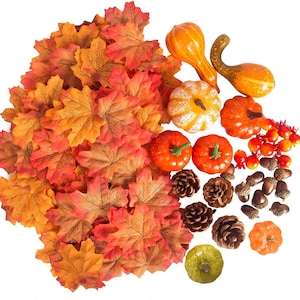 Fall Decor Kit - Mini Pumpkins, Acorns, Pine Cones, Leaves for Decor ...