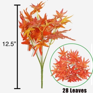 Fall Star Maple Leaves - Fall Leaves - Maple Autumn Leaves - - Etsy