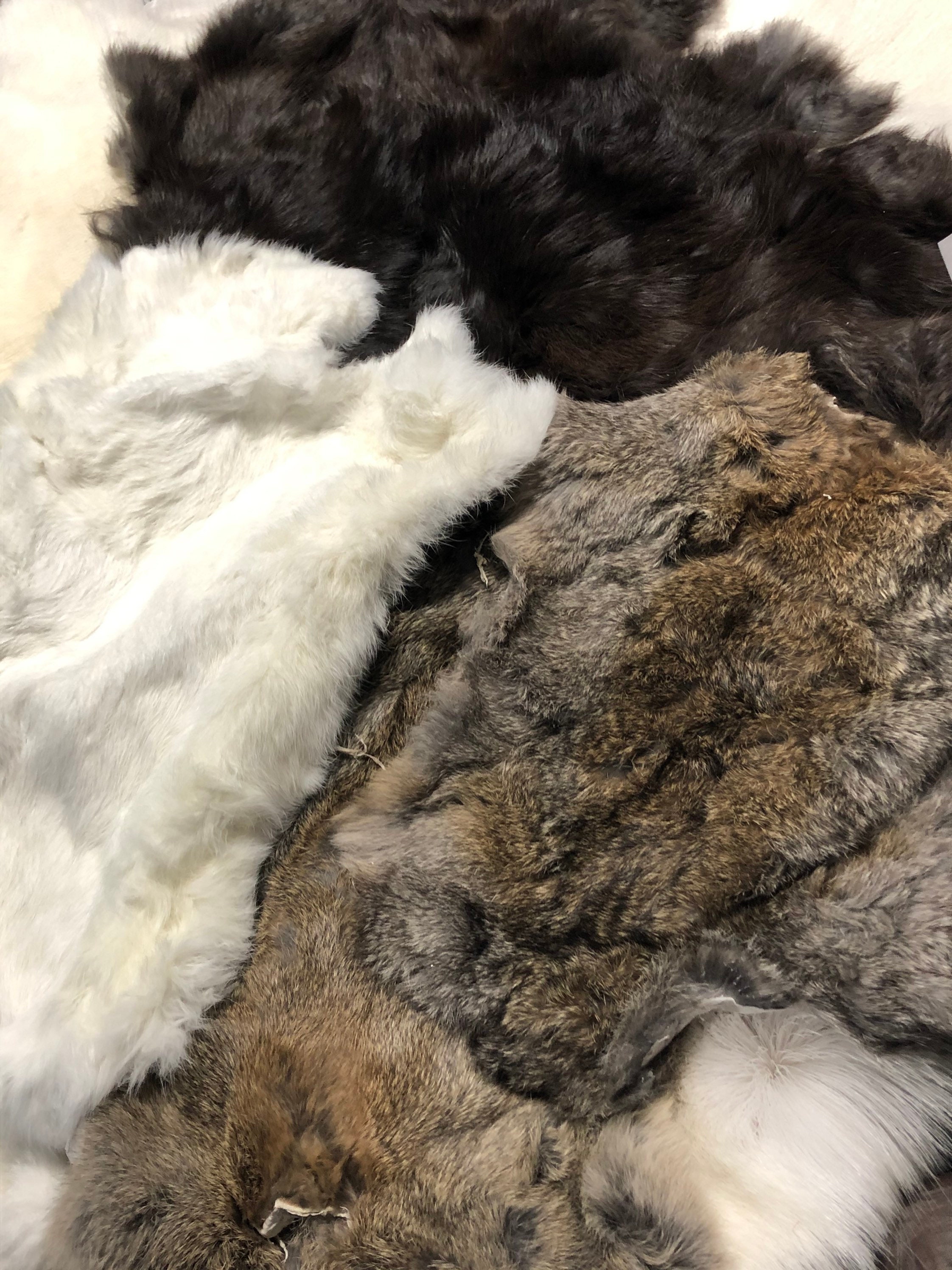 Craft Grade Large Assorted Rabbit Pelt Hides | Etsy