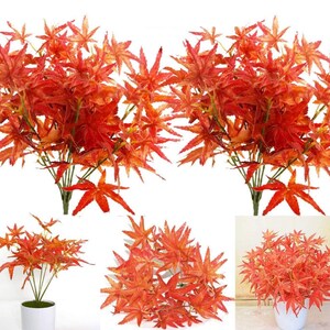 Fall Star Maple Leaves - Fall Leaves - Maple Autumn Leaves - - Etsy