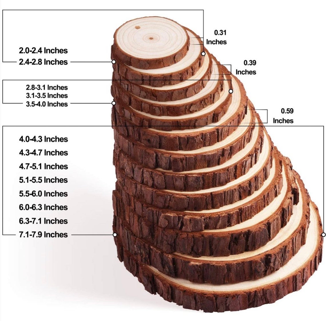 Natural Wood Bark Circles for Painting, Wood Burning, Ornaments, and ...