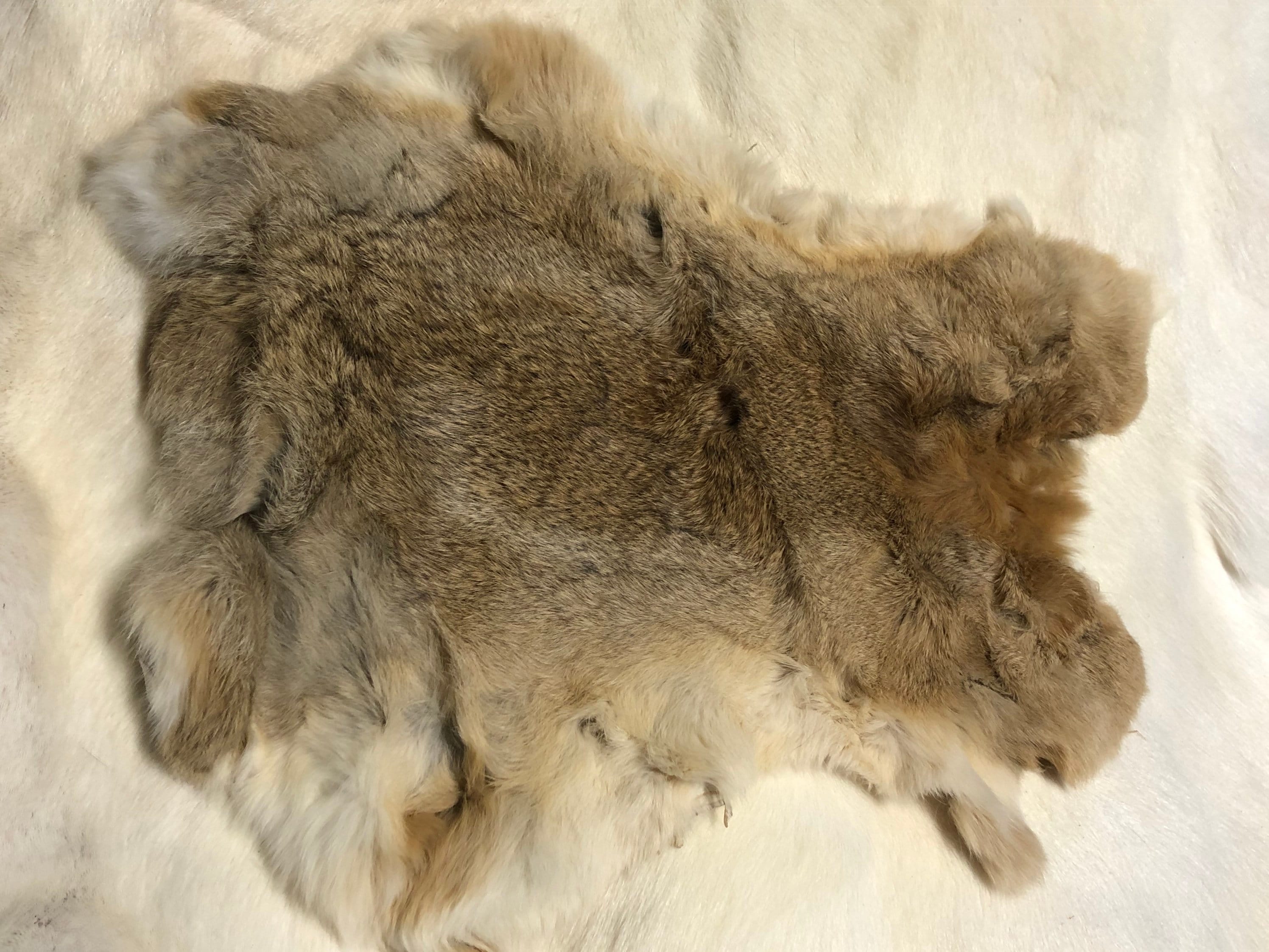 Craft Grade Large Assorted Rabbit Pelt Hides -P - Etsy