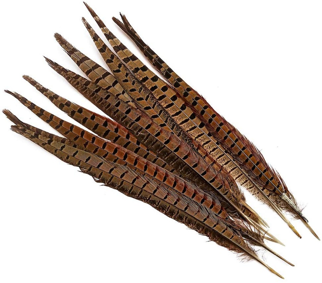 Pheasant Tail Feathers: Osrs Pheasant Feathers – EJRJQ