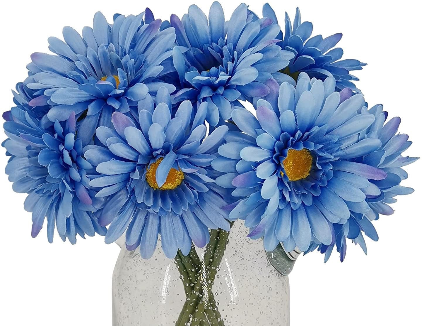 Blue Gerbera Daisy Flowers