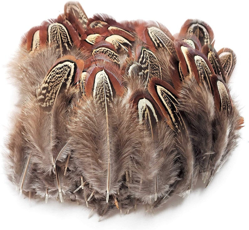 Natural Pheasant Plumage Feathers - Hair Feathers - Dreamcatcher ...