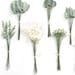 Floral Greenery - Filler Stems for Bouquets - Do It Yourself Bridal ...