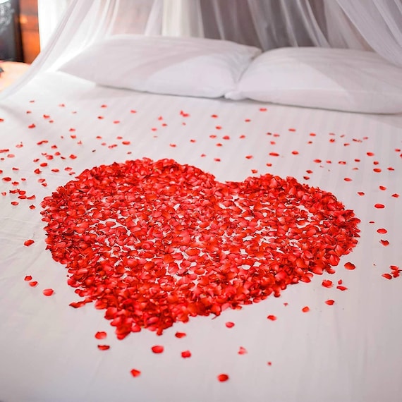 Rose Petals Wedding Flower Petals Romantic Decor Valentine s Day Decor 1000ct Fabric Red Rose Petals Etsy UK