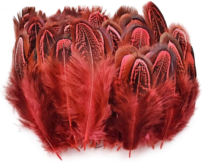 Natural Pheasant Plumage Feathers - Hair Feathers - Dreamcatcher ...