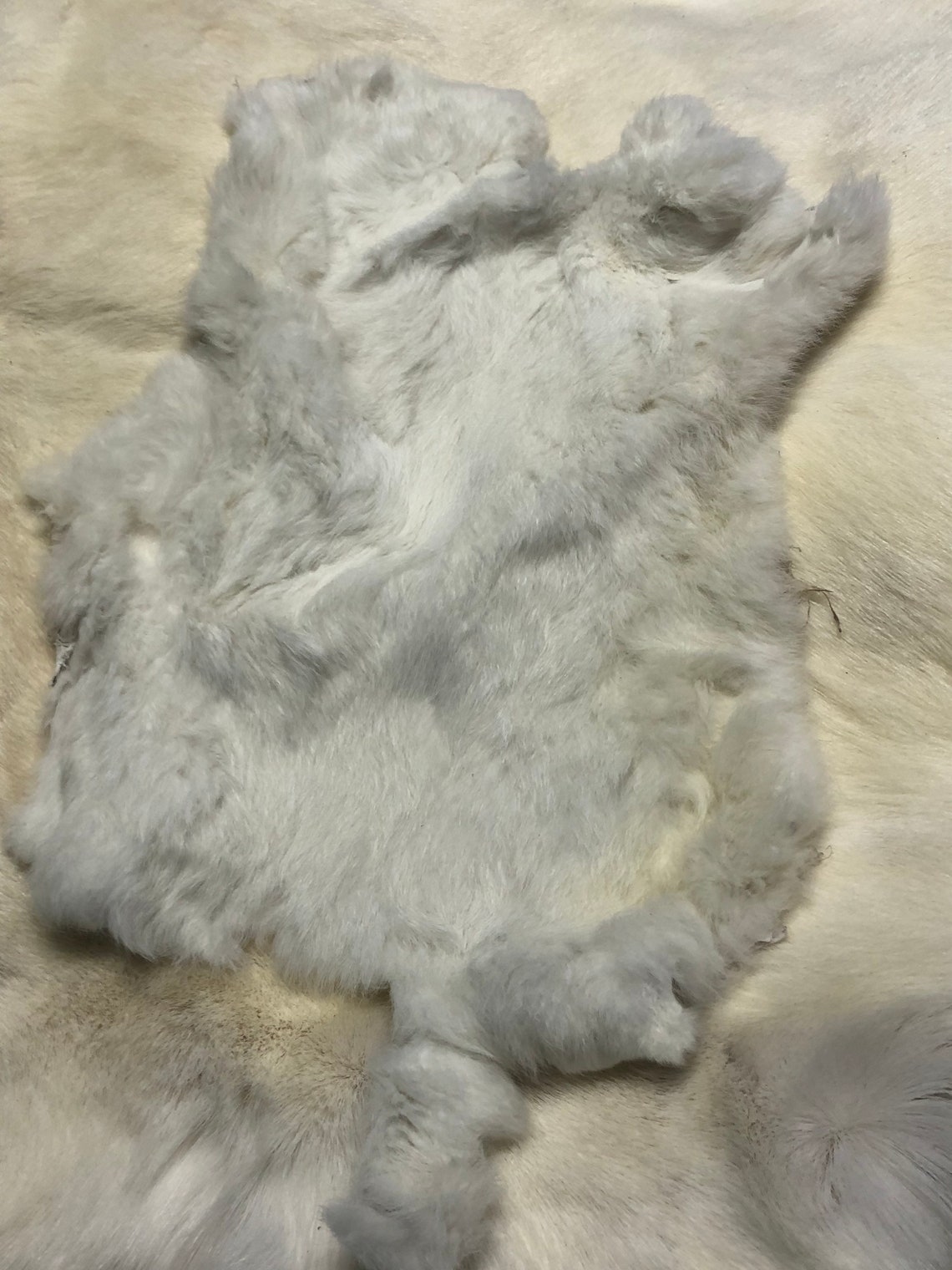 Craft Grade Large Assorted Rabbit Pelt Hides -P - Etsy