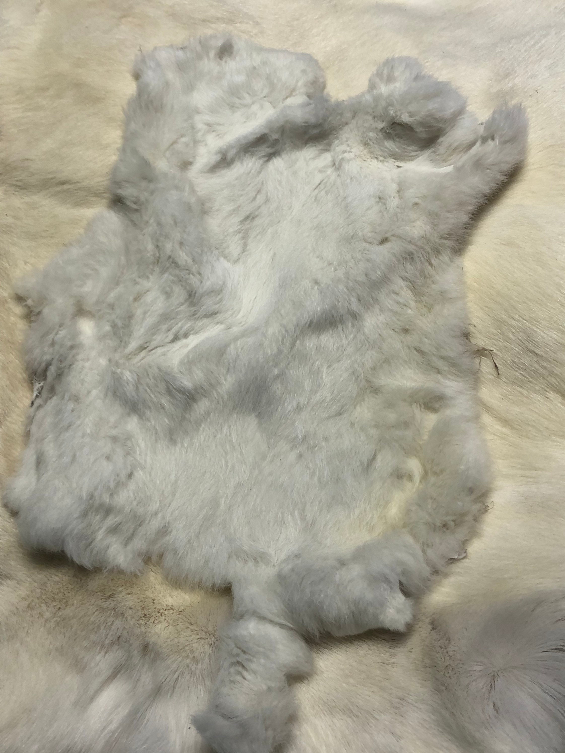 Craft Grade Large Assorted Rabbit Pelt Hides | Etsy