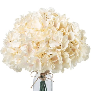 Champagne Hydrangea Stem - Etsy