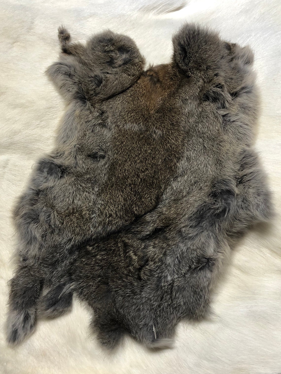 Craft Grade Large Assorted Rabbit Pelt Hides | Etsy