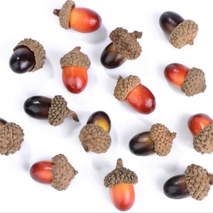 Acorns for Crafts, Wreaths, Ornaments, Resin and Trees - 20ct ...