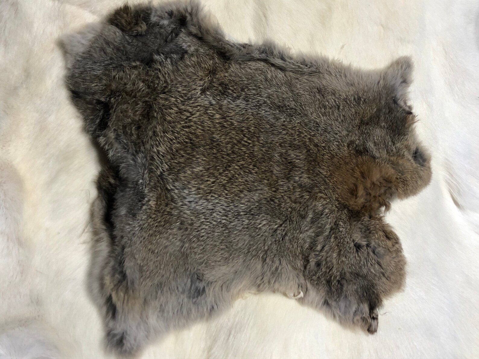 Craft Grade Large Assorted Rabbit Pelt Hides -P - Etsy
