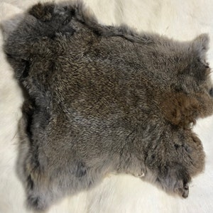 Craft Grade Large Assorted Rabbit Pelt Hides -P - Etsy