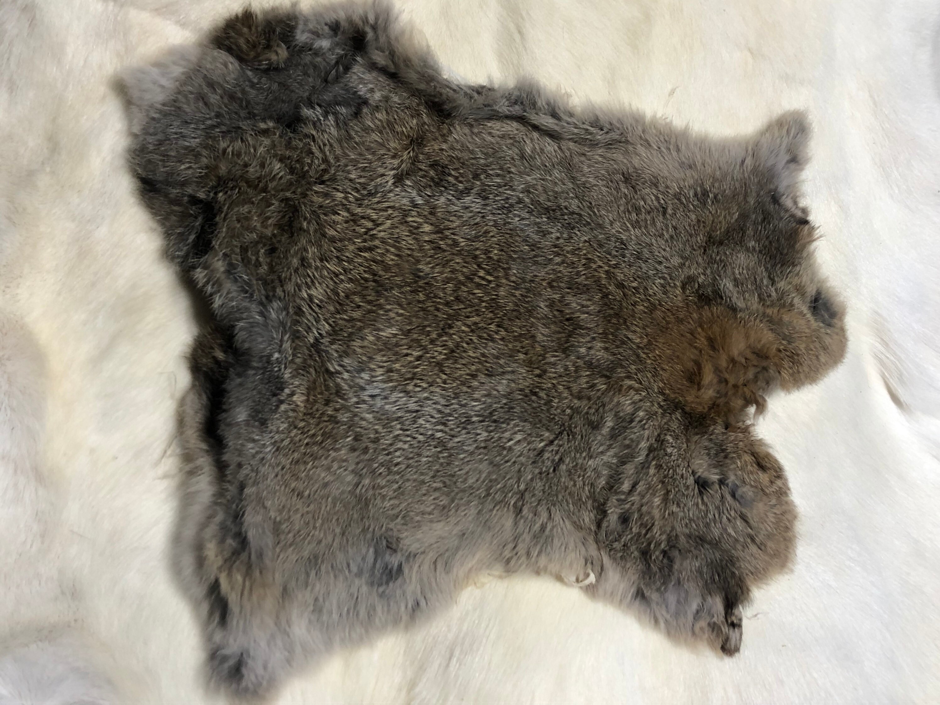 Craft Grade Large Assorted Rabbit Pelt Hides | Etsy