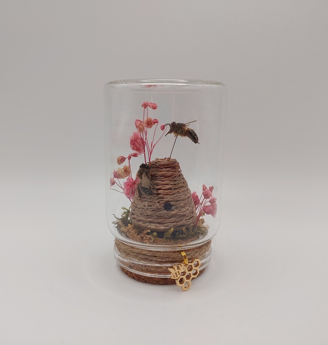 Honey Bee Entomology 'pink Honey Hive' Taxidermy Display Glass Bottle Cruelty Free Handmade ...
