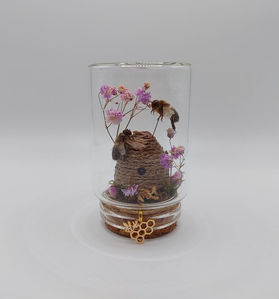 Honey Bee Entomology 'pastel Purple Honey Hive' Taxidermy Display Glass ...