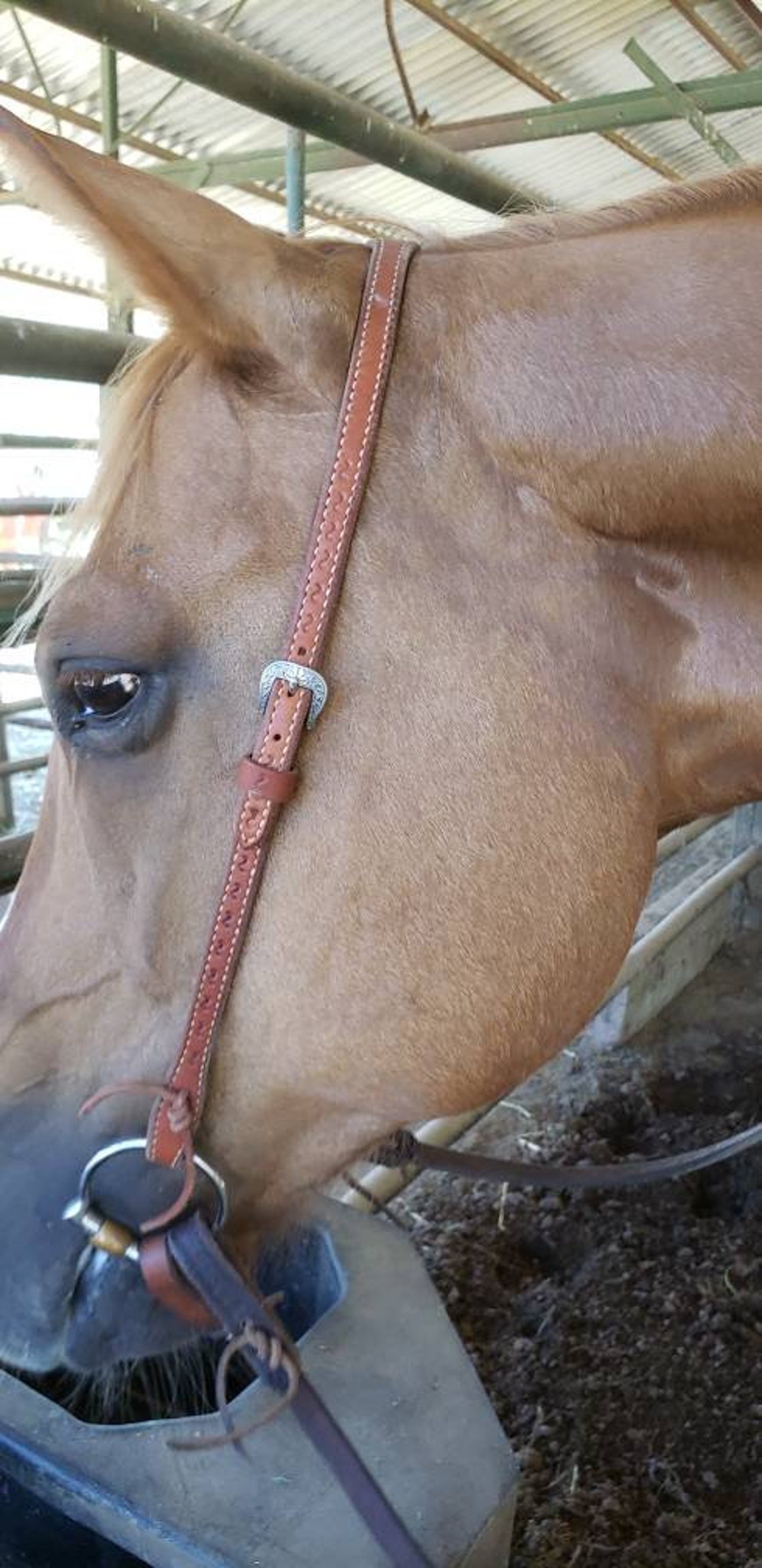 One Piece Split Eared Headstall | Etsy
