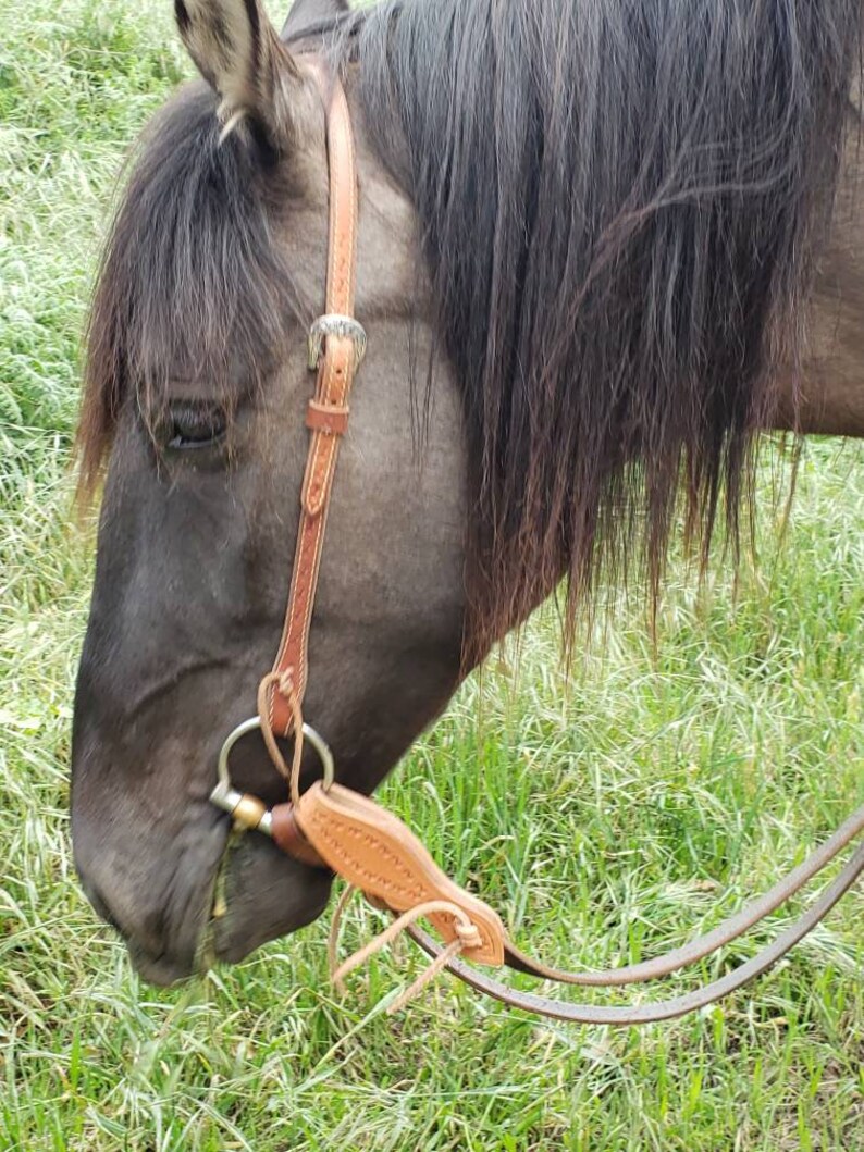 One Piece Split Eared Headstall | Etsy