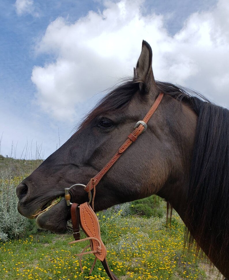 One Piece Split Eared Headstall | Etsy