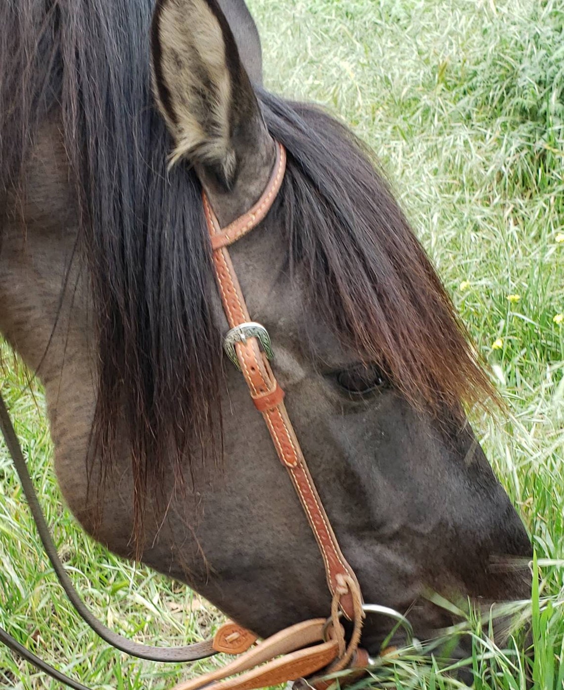 One Piece Split Eared Headstall | Etsy