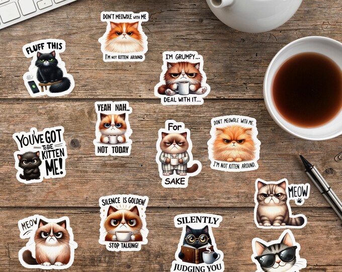 Cat Sticker multiple Sizes, Grumpy Cat Sticker, Cat, Kitty, Cat Gift ...