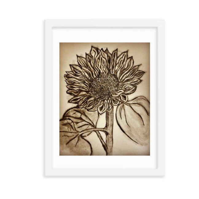 Sunflower, Graphite Pencil Sketch Framed/unframed Poster Prints - Etsy
