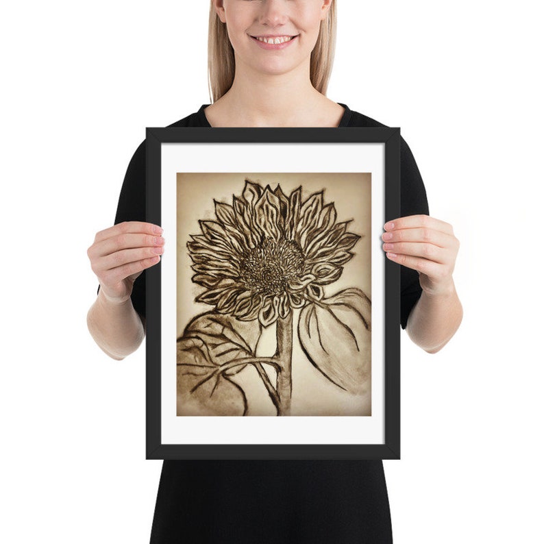 Sunflower Graphite Pencil Sketch Framed/unframed Poster - Etsy