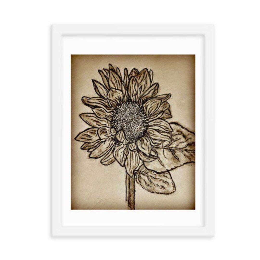Autumn Sunflower, Graphite Pencil Sketch; Framed/unframed Poster Prints ...