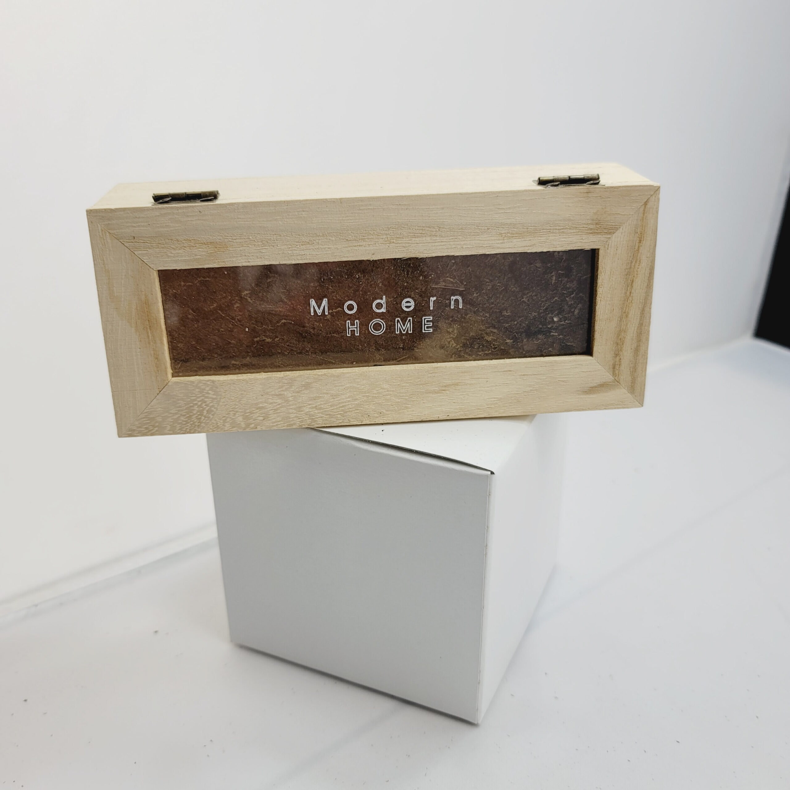 DIY Modern Style Box Includes 4 Assorted Succulents - Etsy