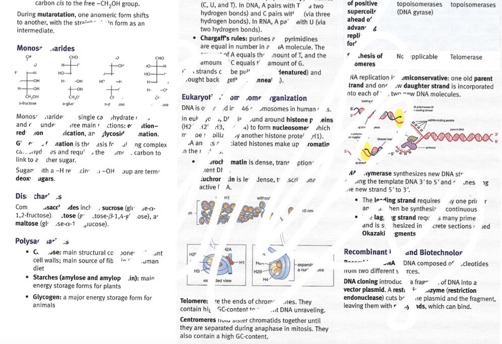 MCAT Best COMPLETE Study Sheet 24 Pages for Memorization and if Need Be ...