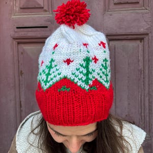 Christmas Gift, Winter Hat, Christmas Beanie Hat, Knitted Christmas Hat ...