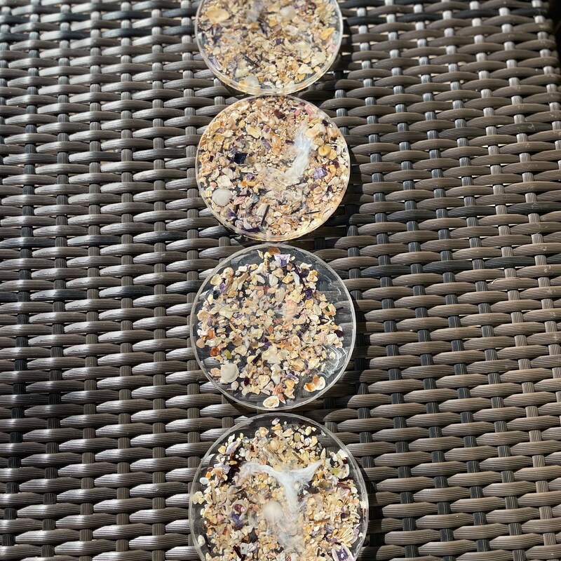 Seashell Coasters - Etsy