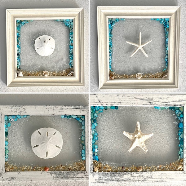 Sea Shell Wall Art - Etsy