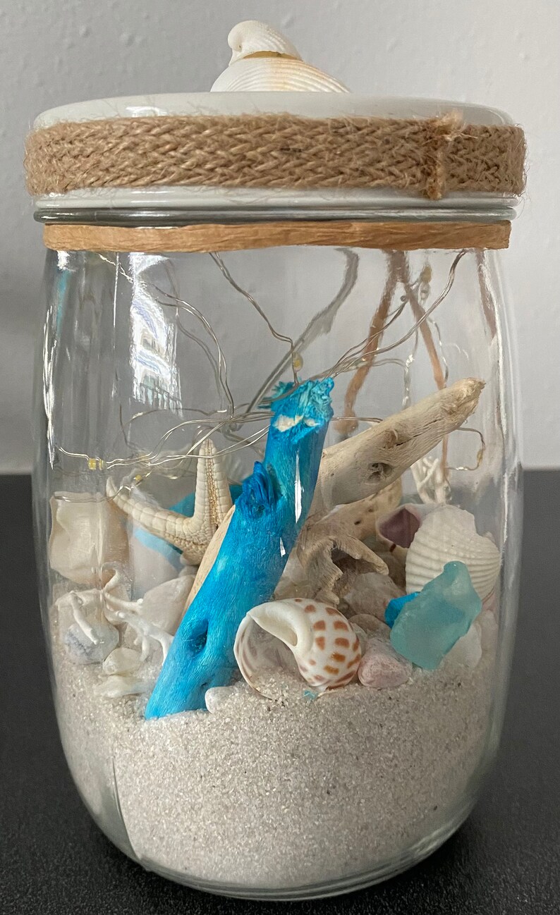 Decorative Sea Shell Jar Coastal Home Decor Lighted Sea | Etsy