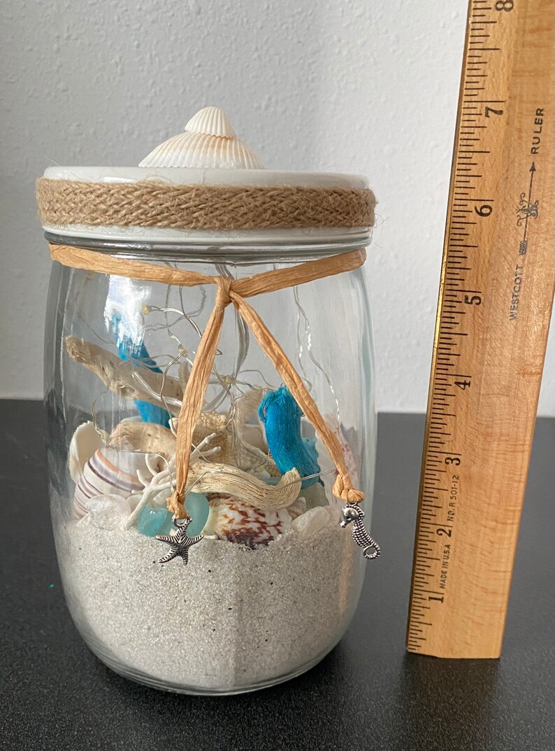 Decorative Sea Shell Jar Coastal Home Decor Lighted Sea | Etsy